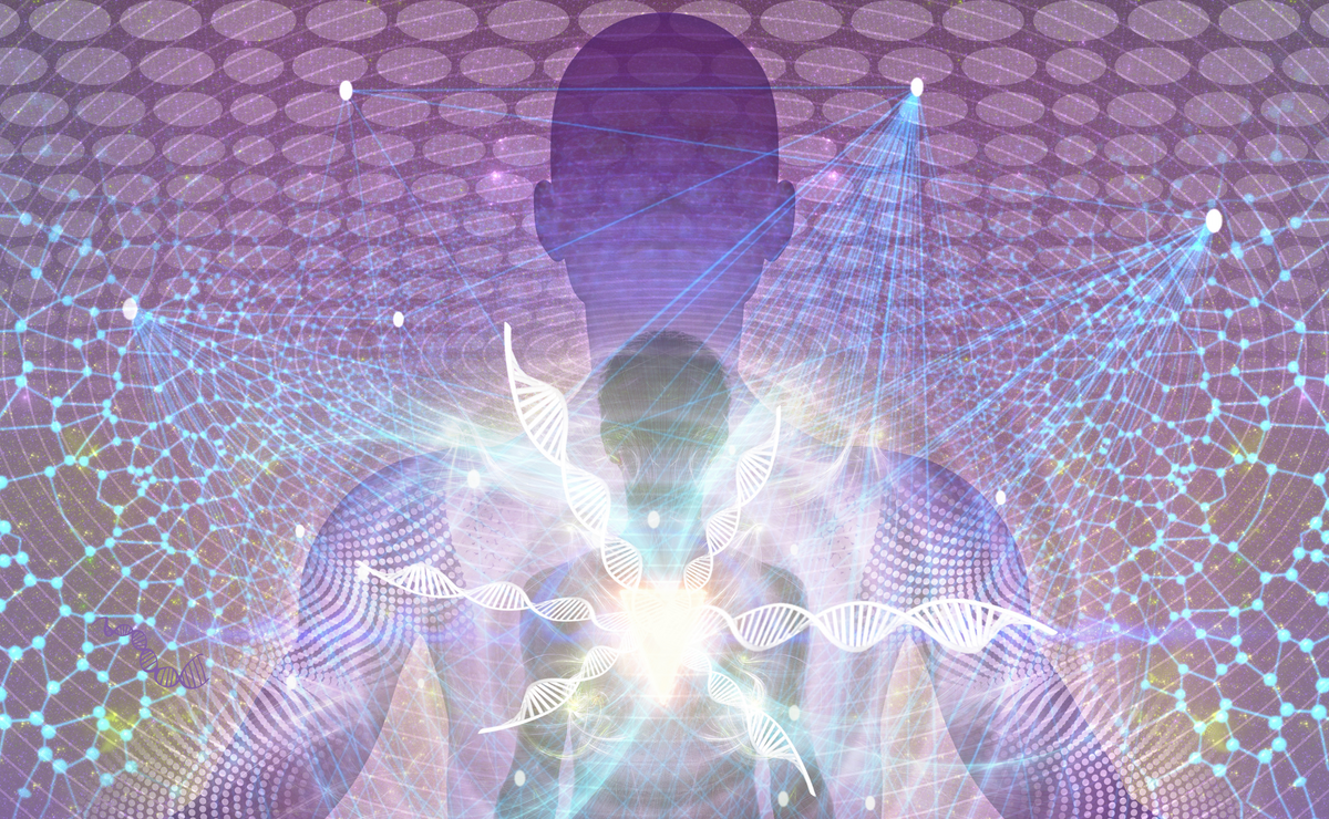 The Science Behind Yoga – Zencore